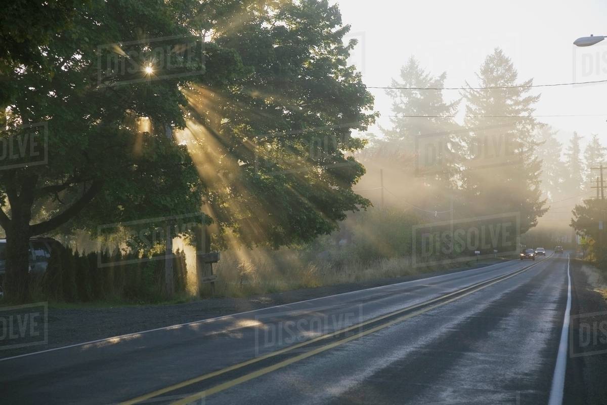 Sunrays On Road - Royalty-free Stock Photo | Dissolve