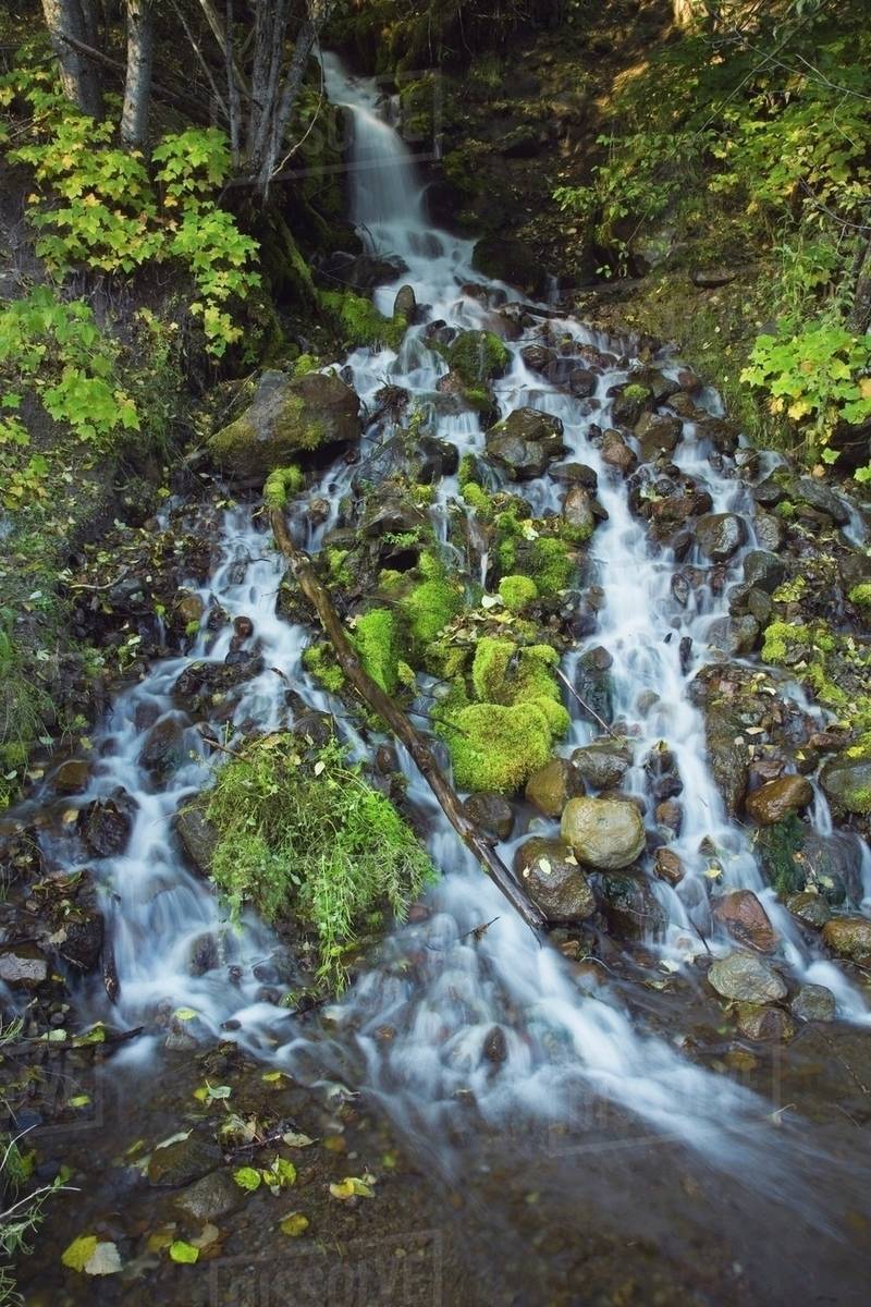 Water Flowing Over Rocks In Creek - Royalty-free Stock Photo | Dissolve