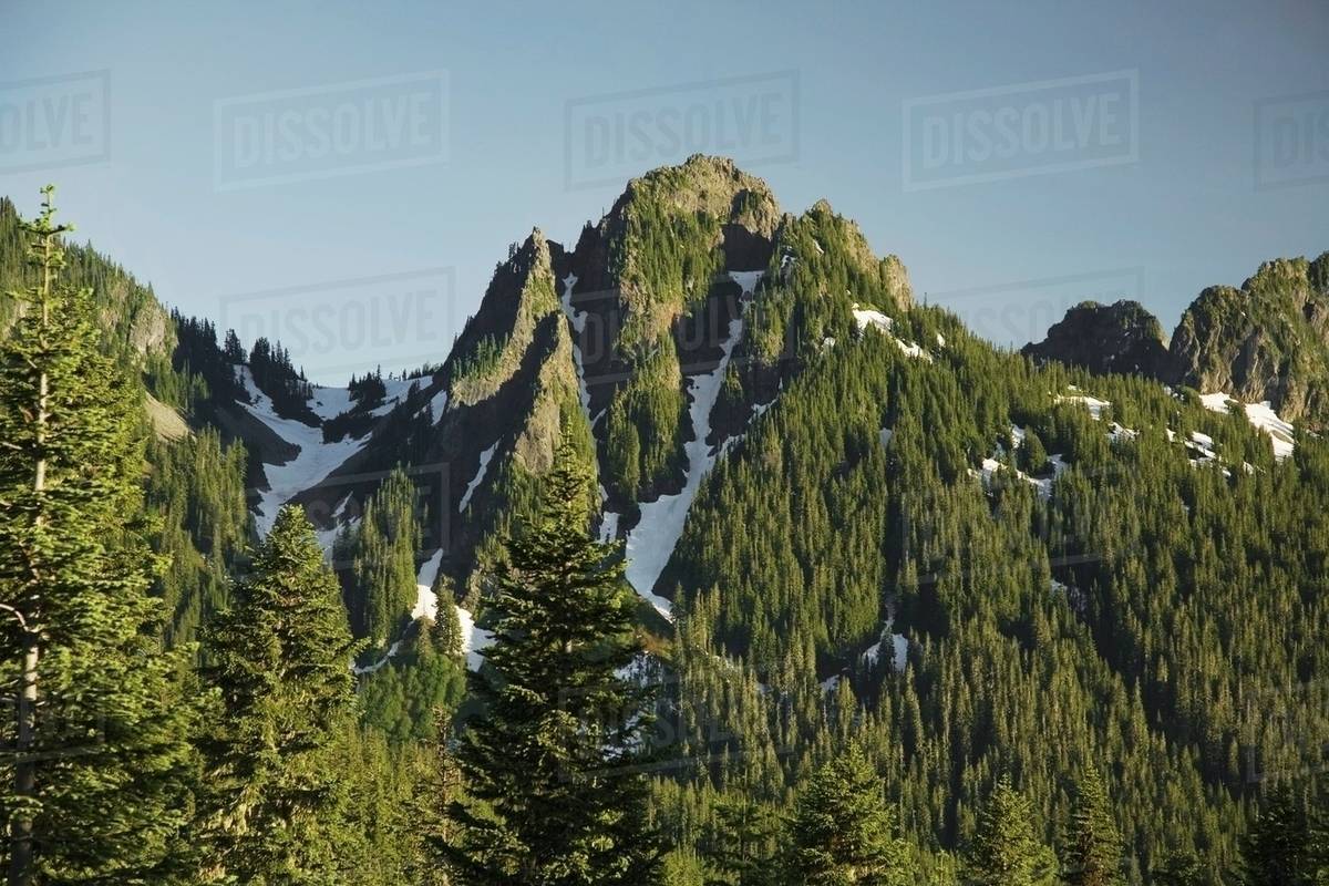 Tree Covered Mountain - Royalty-free Stock Photo | Dissolve