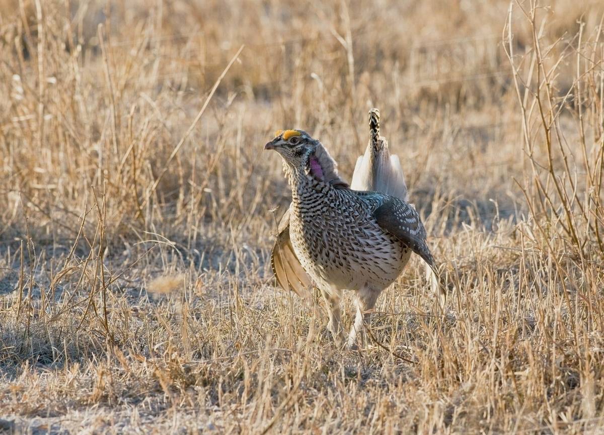 None - Stock Photo - Dissolve