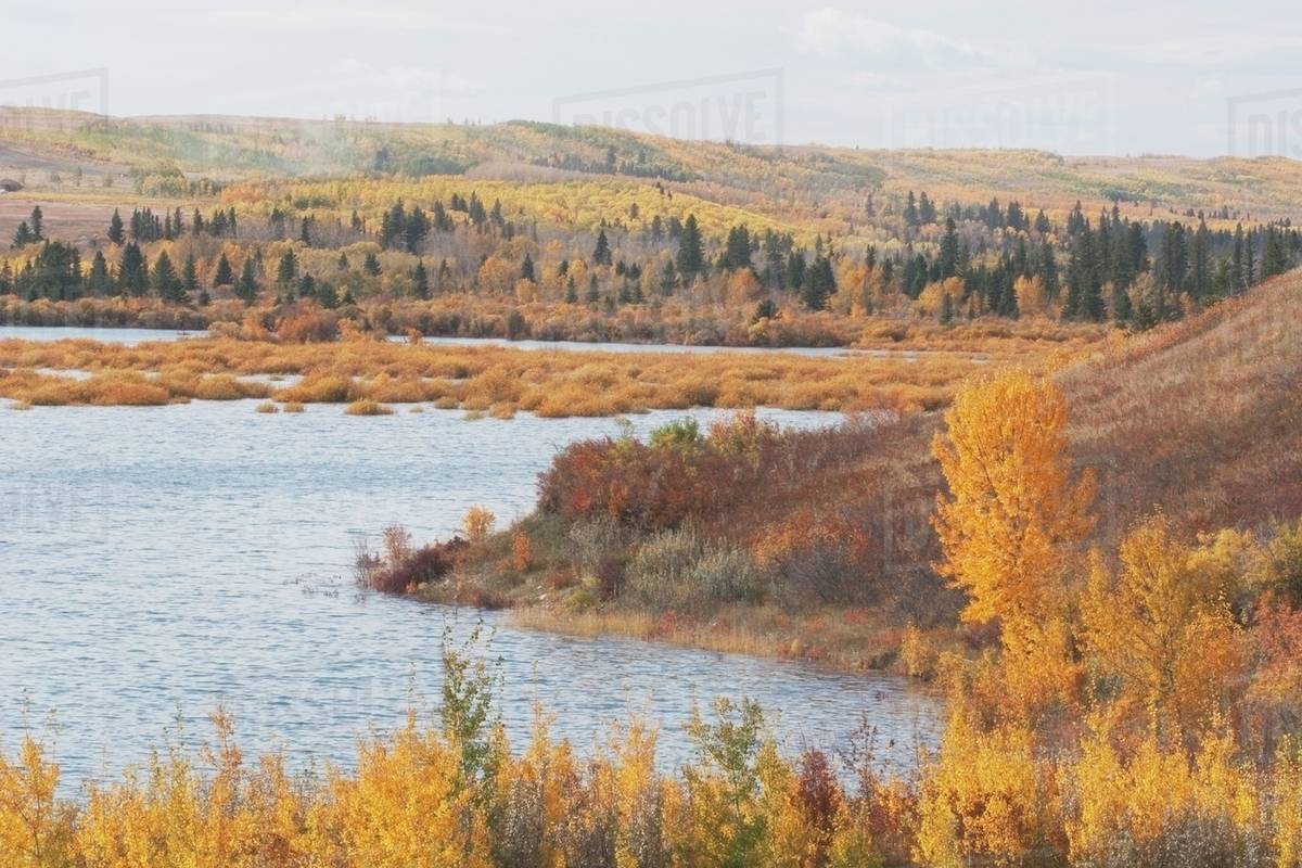 Calgary, Alberta, Canada; Autumn Colors At The Glenmore Reservoir ...