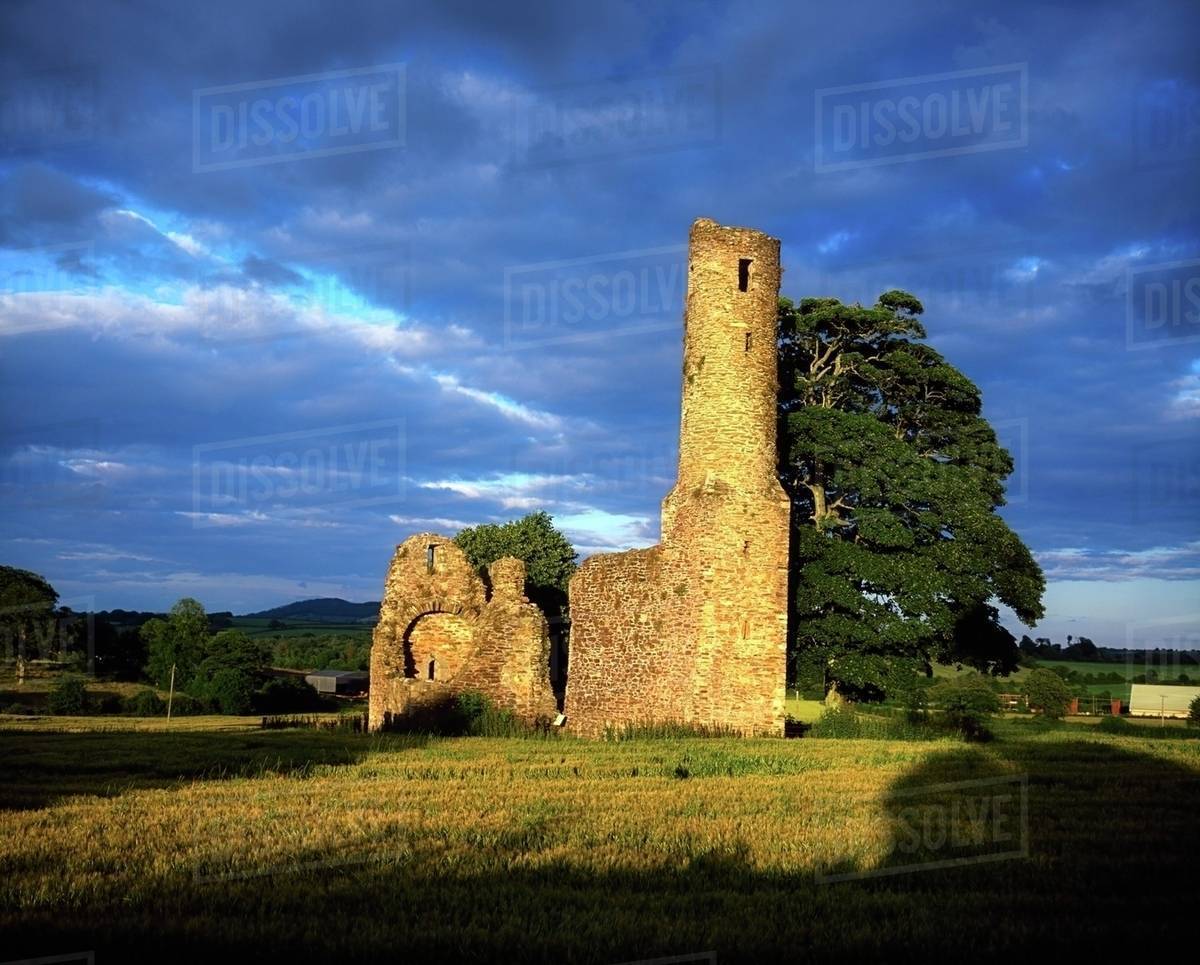 Saint Mary's Abbey, Bannow, County Wexford, Ireland - Royalty-free ...
