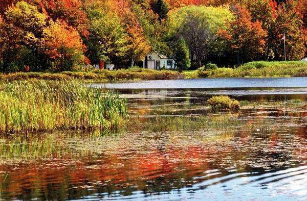 Fall Pond - Stock Photo - Dissolve