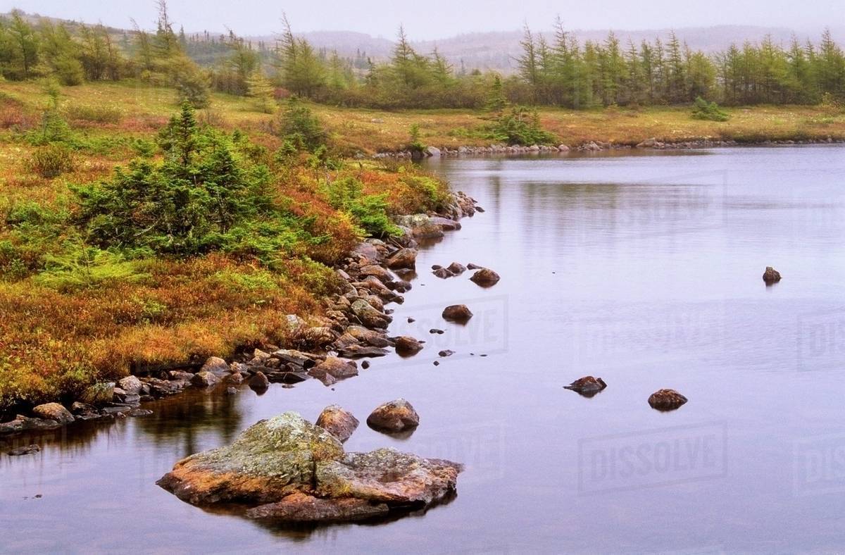 Shoreline Of Pond, Newfoundland, Canada - Royalty-free Stock Photo ...
