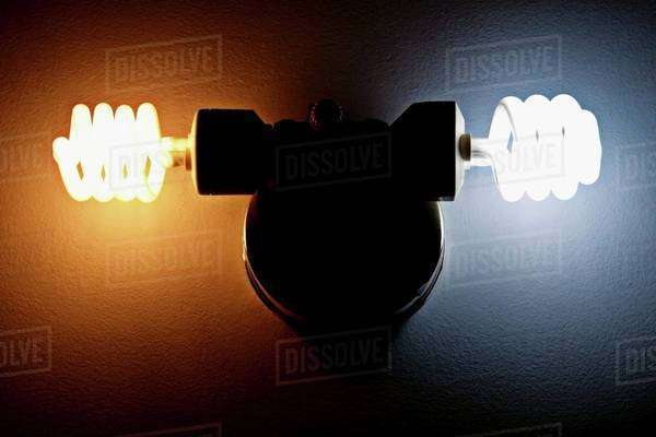 Two Different Lightbulbs - Royalty-free Stock Photo | Dissolve