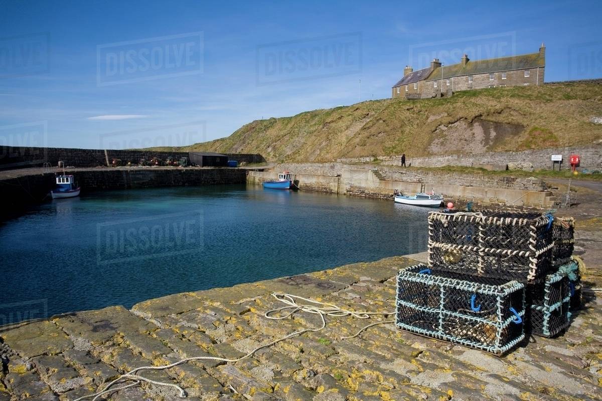 Trunks On Stone Dock, Scotland - Royalty-free Stock Photo | Dissolve