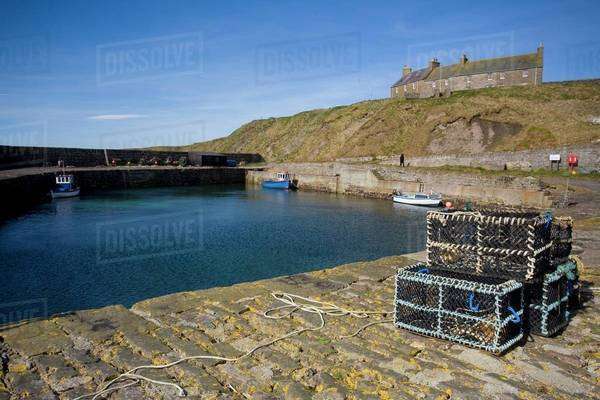 Trunks On Stone Dock, Scotland - Royalty-free Stock Photo | Dissolve