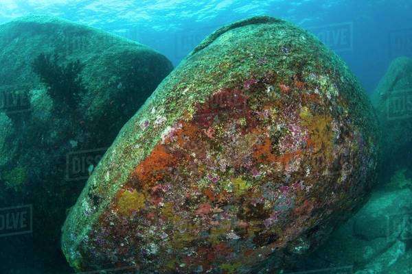 Rocks Under Water - Royalty-free Stock Photo | Dissolve