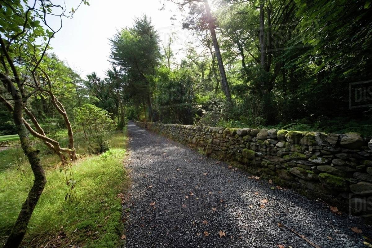 Pathway Through Trees, Gigha, Scotland - Royalty-free Stock Photo ...