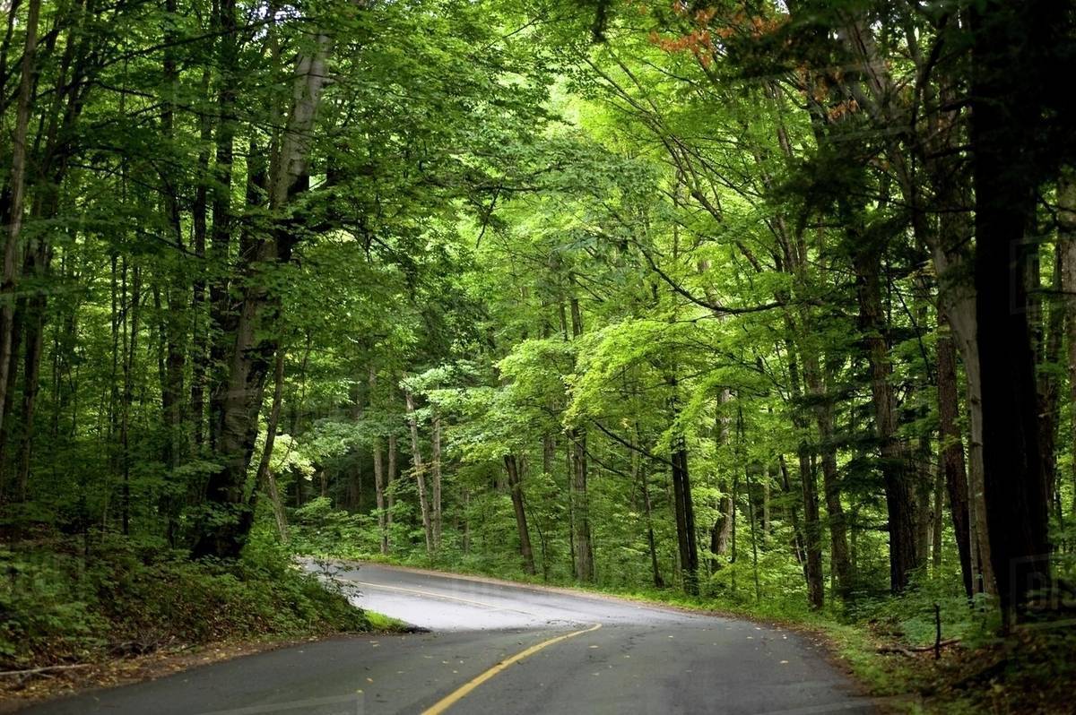 Muskoka, Ontario, Canada; Rural Road - Royalty-free Stock Photo | Dissolve