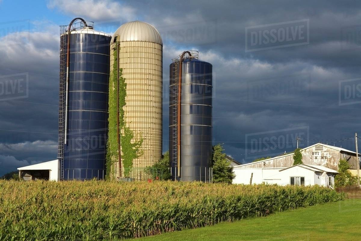 Farm, Lyons, Greater Rochester Area, New York State, Usa - Stock Photo ...