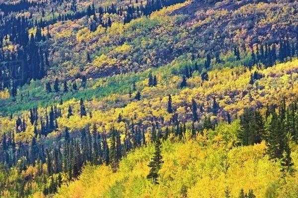Yukon Territories, Canada - Royalty-free Stock Photo | Dissolve