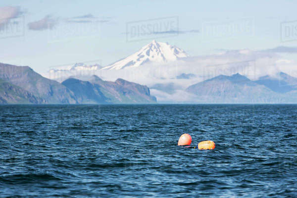 Two Buoys Mark The End Of A Skate Of Halibut Longline Gear In Ikatan ...