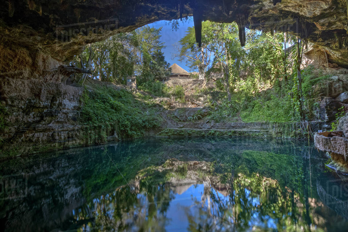 Cenote Zaci, a freshwater underground sinkhole; Valladolid, Yucatan ...