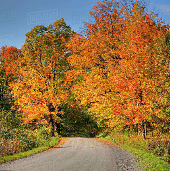 Country Road In Autumn Colours; West Bolton, Quebec, Canada - Stock ...