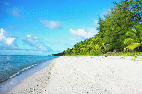 Sandy beach and lush vegetation along the coastline; Nauru - Royalty ...