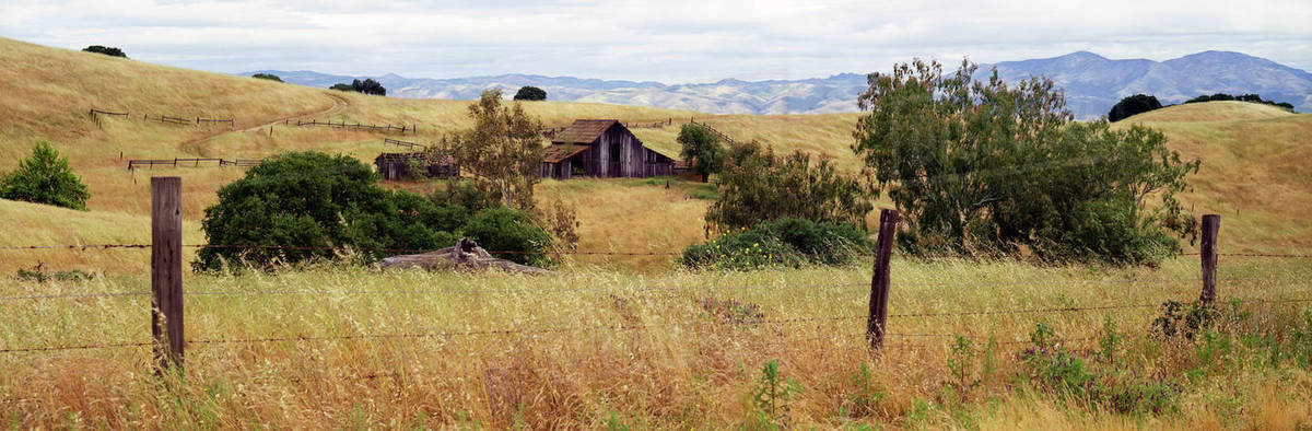 An old barn sits amid tall grasses and fences with mountains and a ...