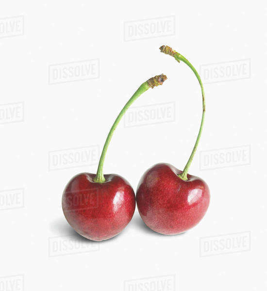 Two cherries on a white background - Stock Photo - Dissolve