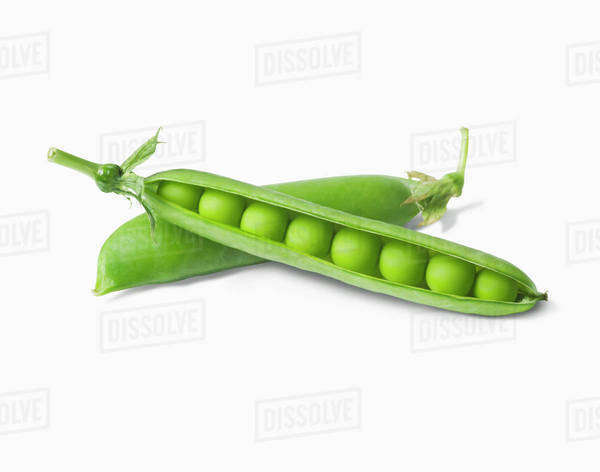 Peas in a pod on a white background - Stock Photo - Dissolve