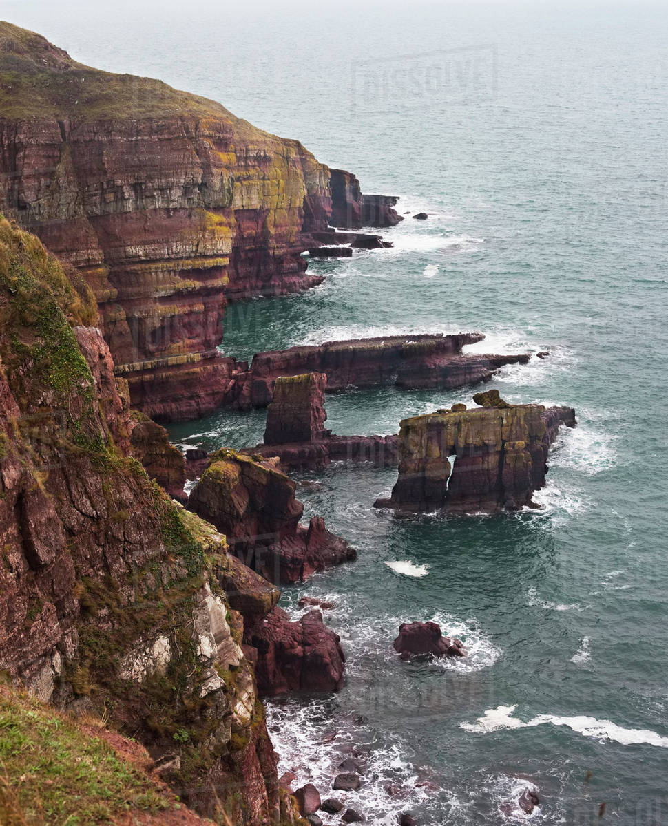 Coastal cliffs along the Pembrokeshire Coastal Path, near to Stackpole ...