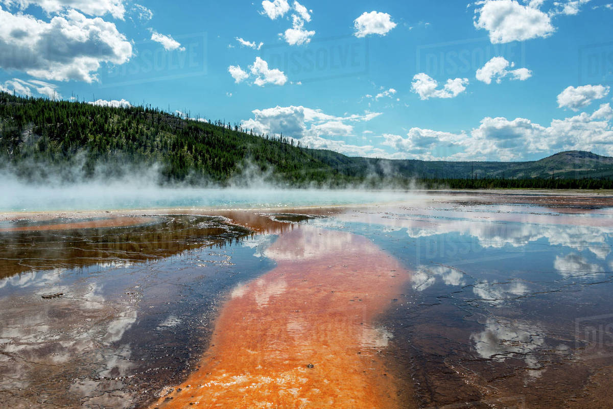 Steaming Pool At The Grand Prismatic Spring With A Streak Of Orange ...