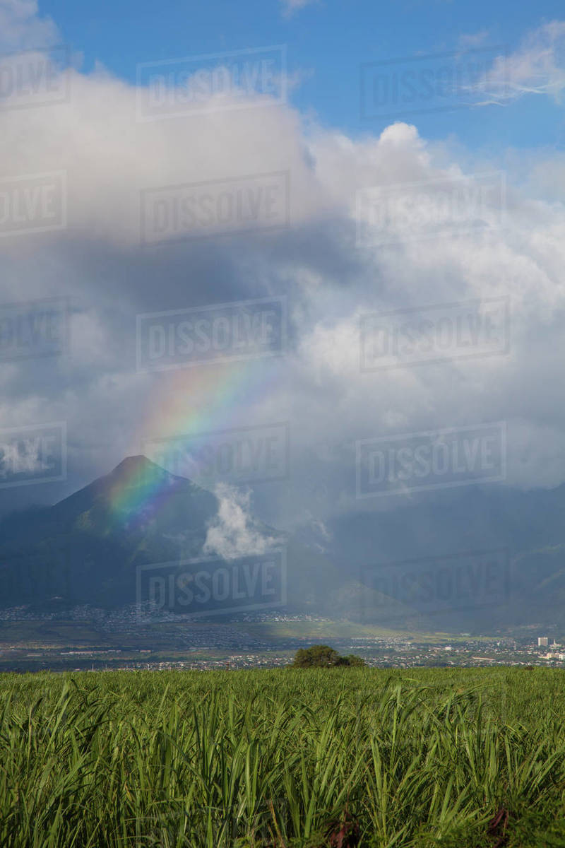 A Sunny Rainbow Over Wailuku; Maui, Hawaii, United States Of America ...
