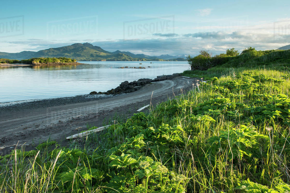 View Of Kukak Bay, Katmai National Park And Preserve, Southwest Alaska ...