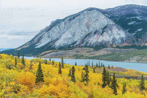 Scenic Autumn View Of Tagish Lake Near The South Klondike Highway ...