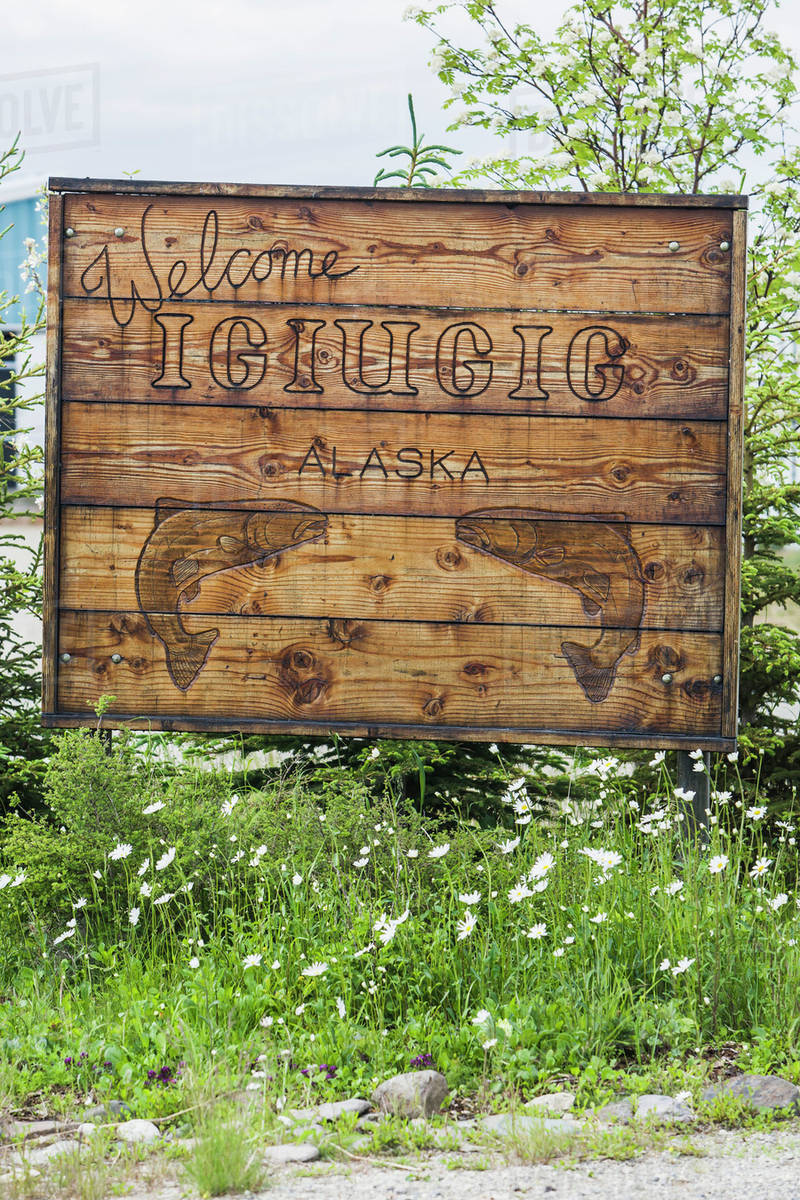 A worn wooden sign welcomes visitors to Igiugig with flowers growing ...