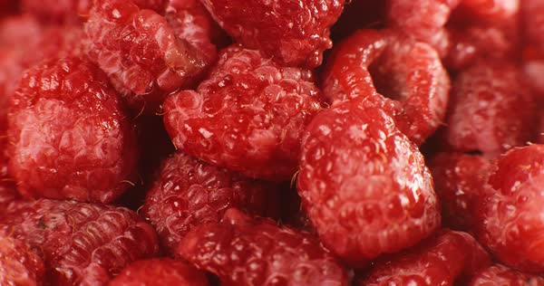 Beautiful Farm Fresh Raspberries. Shot in 4K RAW on a cinema camera ...