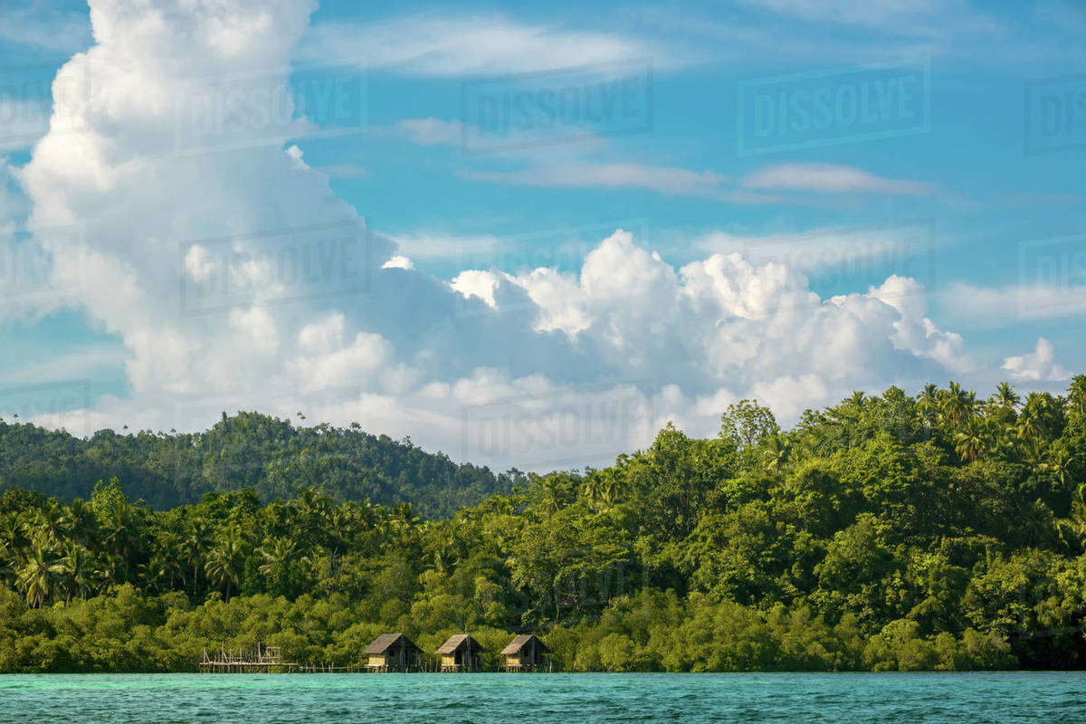 Indonesia. Coast of the tropical island, overgrown with rainforest ...