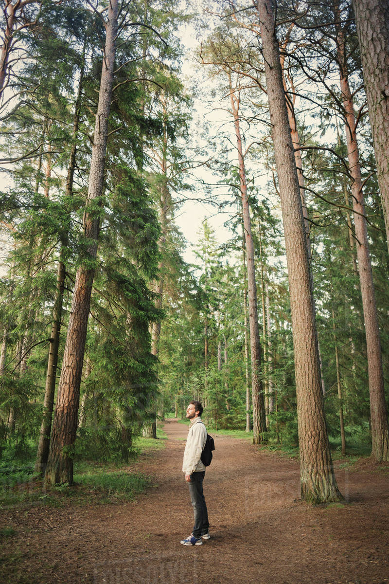Full length side view of man standing in forest - Royalty-free Stock ...