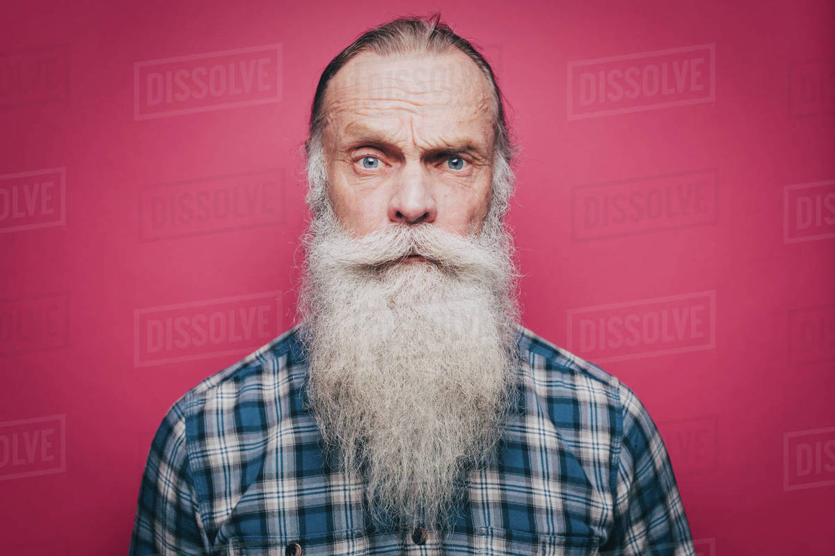 Portrait of confident senior man with long white beard over pink ...
