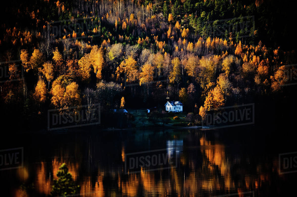 Remote house in the forest by lake - Stock Photo - Dissolve