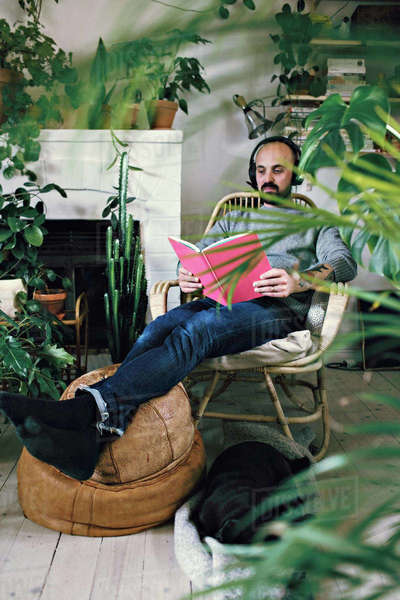 Man reading book sitting on chair in room at home - Stock Photo - Dissolve
