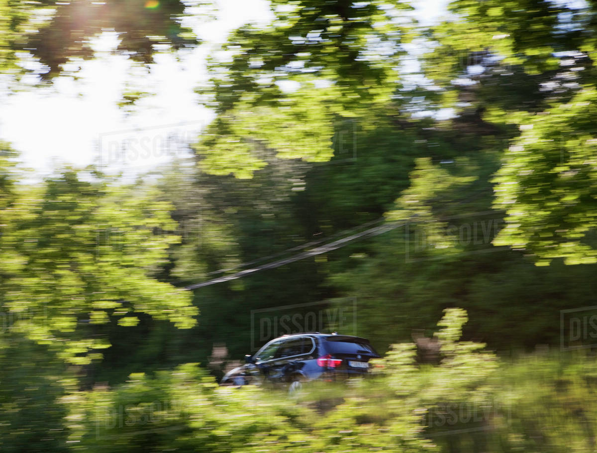 Car driving in forest - Stock Photo - Dissolve