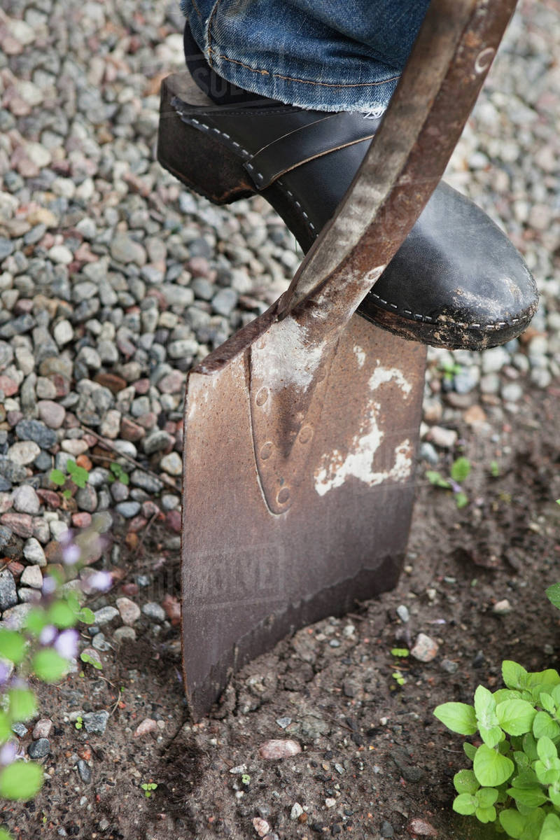 Pushing on the spade with foot - Royalty-free Stock Photo | Dissolve