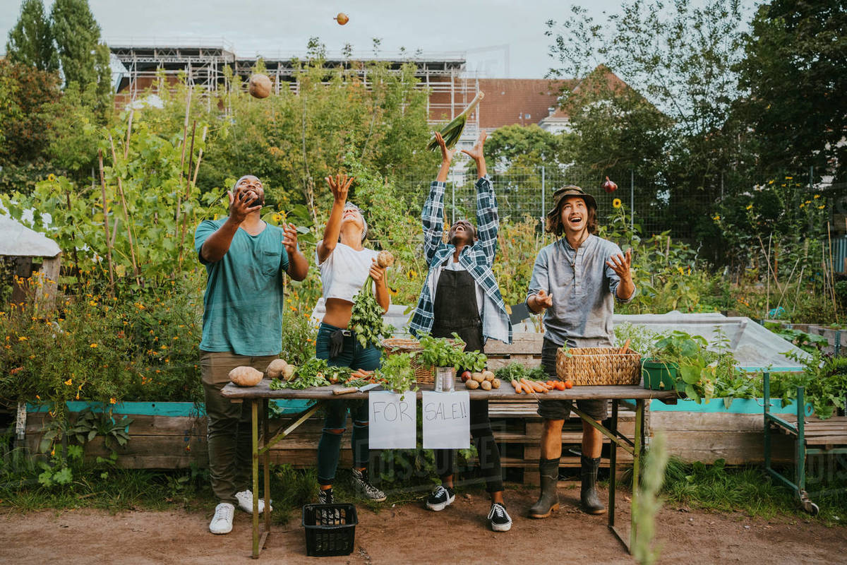Cheerful male and female environmentalists throwing vegetables in ...