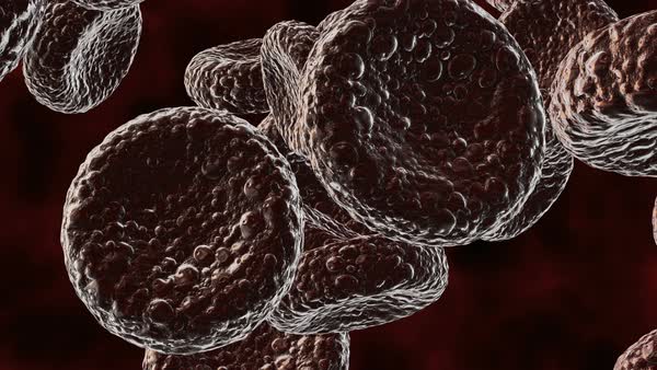 Dead Red blood cells in an artery - 3D animation. Flow inside body ...