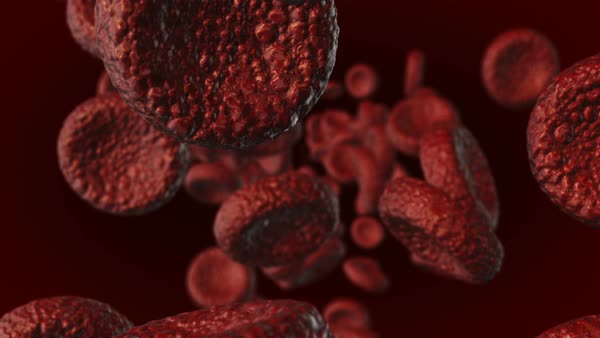 Dead Red blood cells in an artery - 3D animation. Flow inside body ...