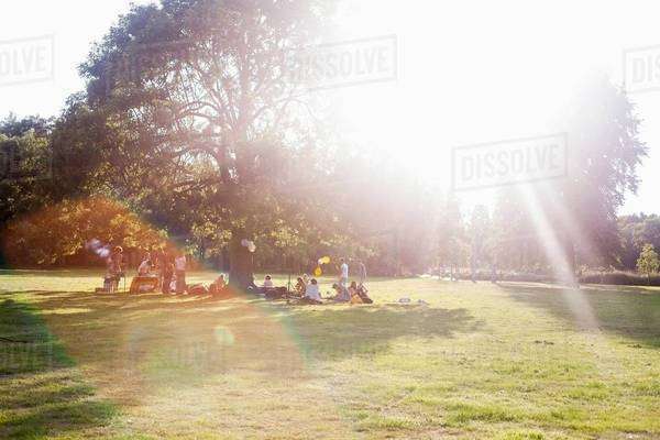 Adults friends sitting under a tree at sunset party in park - Royalty ...