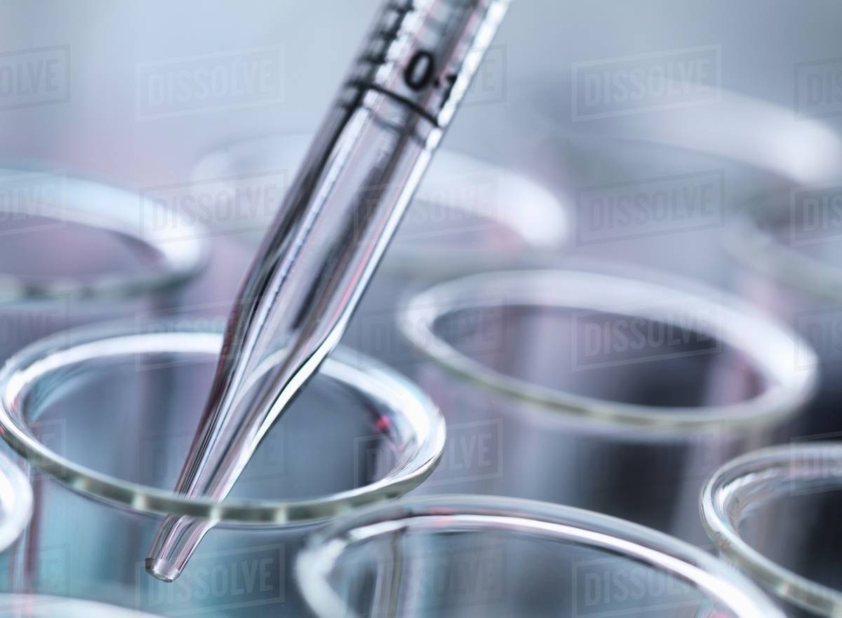 Close up of graduated pipette pipetting liquid into test tube - Stock ...