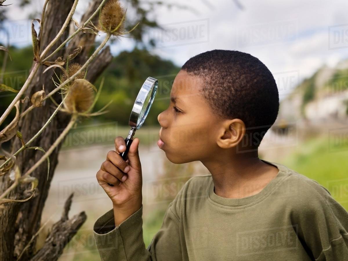 Boy investigating nature - Stock Photo - Dissolve