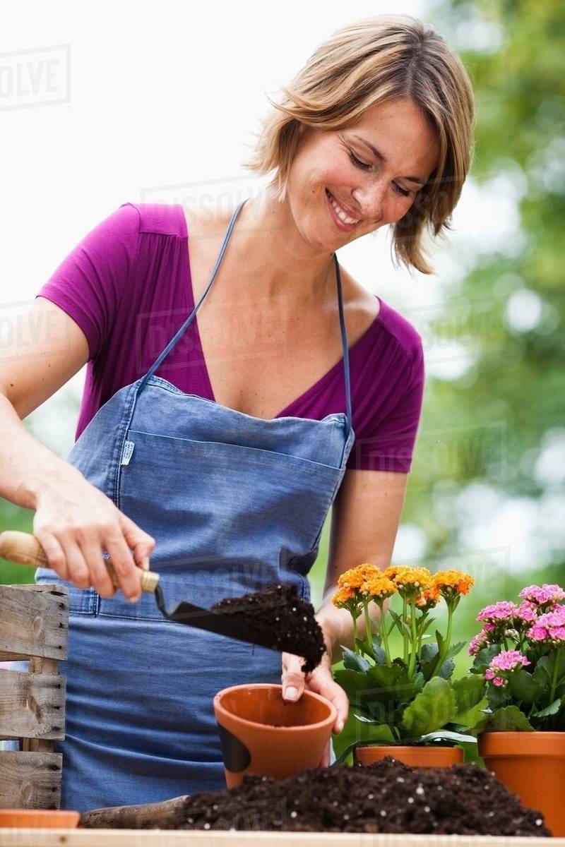 Woman potting flowers - Royalty-free Stock Photo | Dissolve