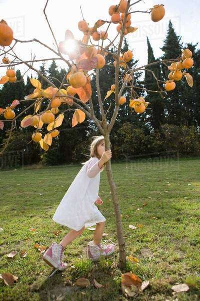 Girl running around tree - Stock Photo - Dissolve