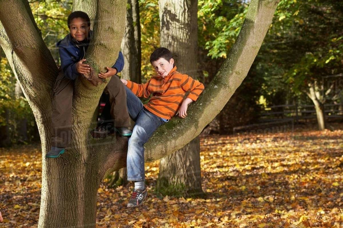 Two boys sitting in a tree - Royalty-free Stock Photo | Dissolve