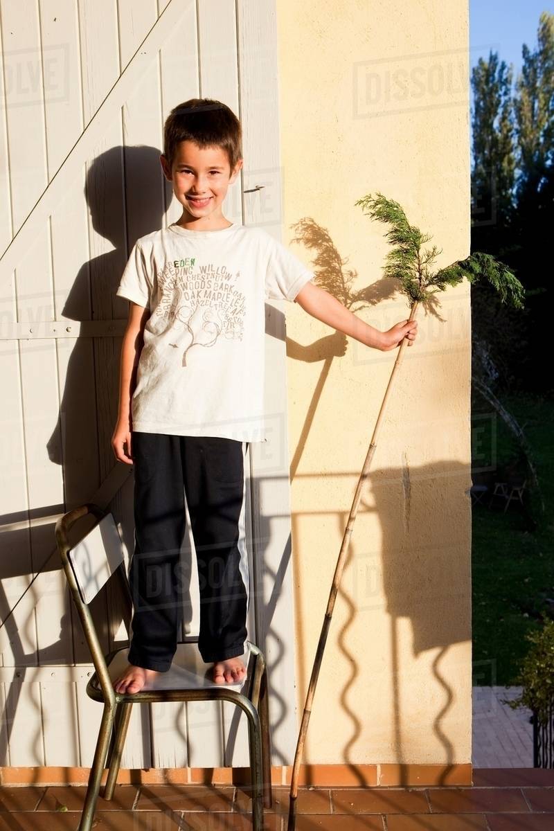Little boy standing on a chair - Stock Photo - Dissolve