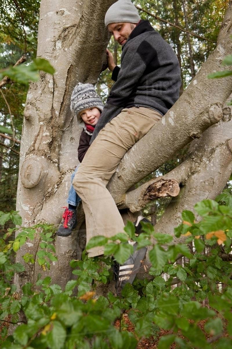 Father and son up on a tree - Royalty-free Stock Photo | Dissolve