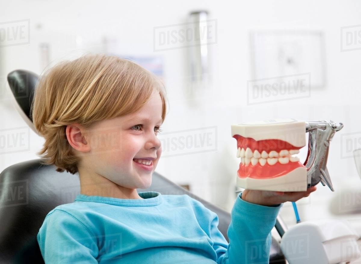 Dental patient with teeth model - Stock Photo - Dissolve