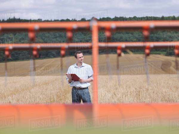 Farmer checking crop - Stock Photo - Dissolve